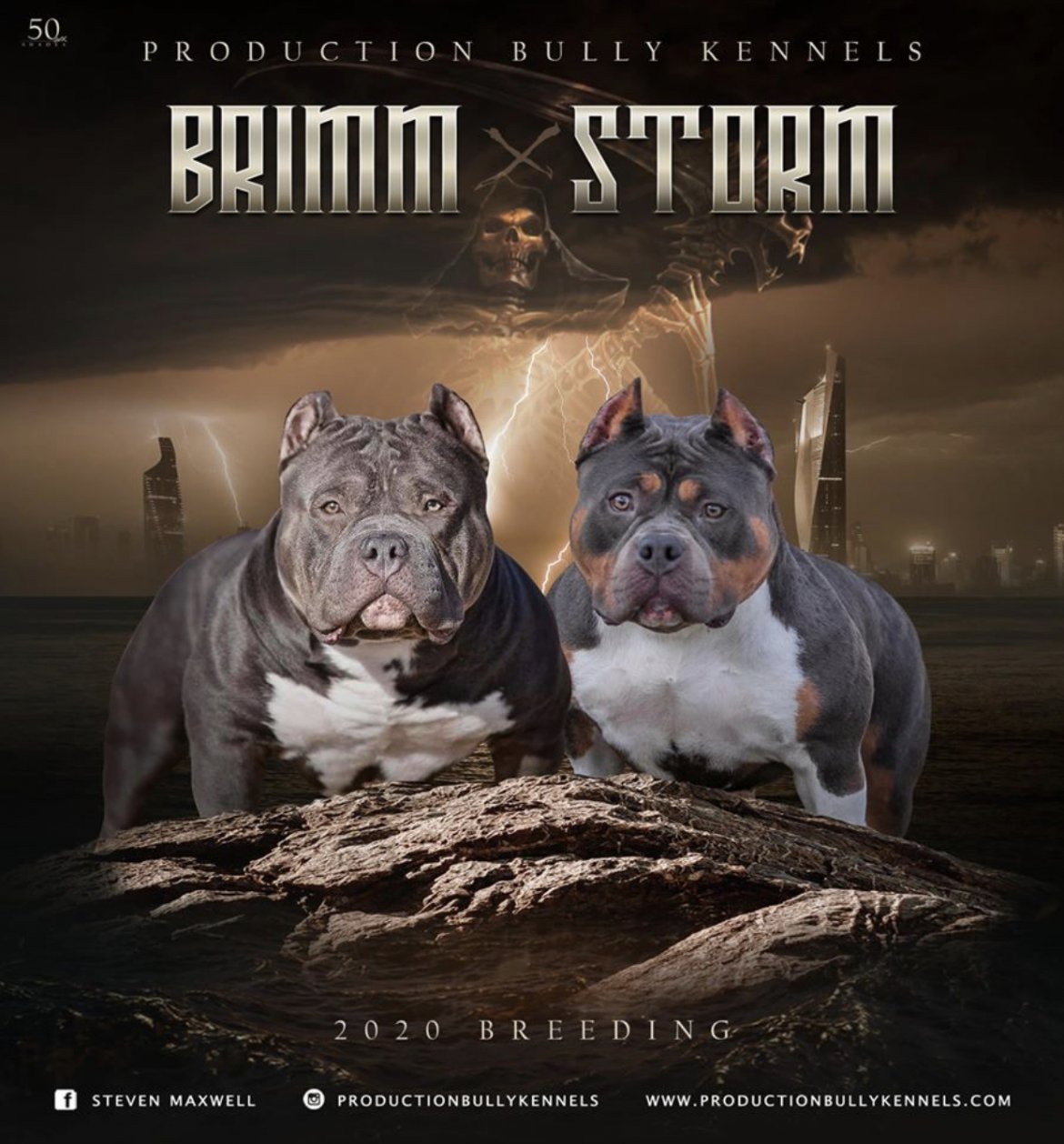 Bully Pedex